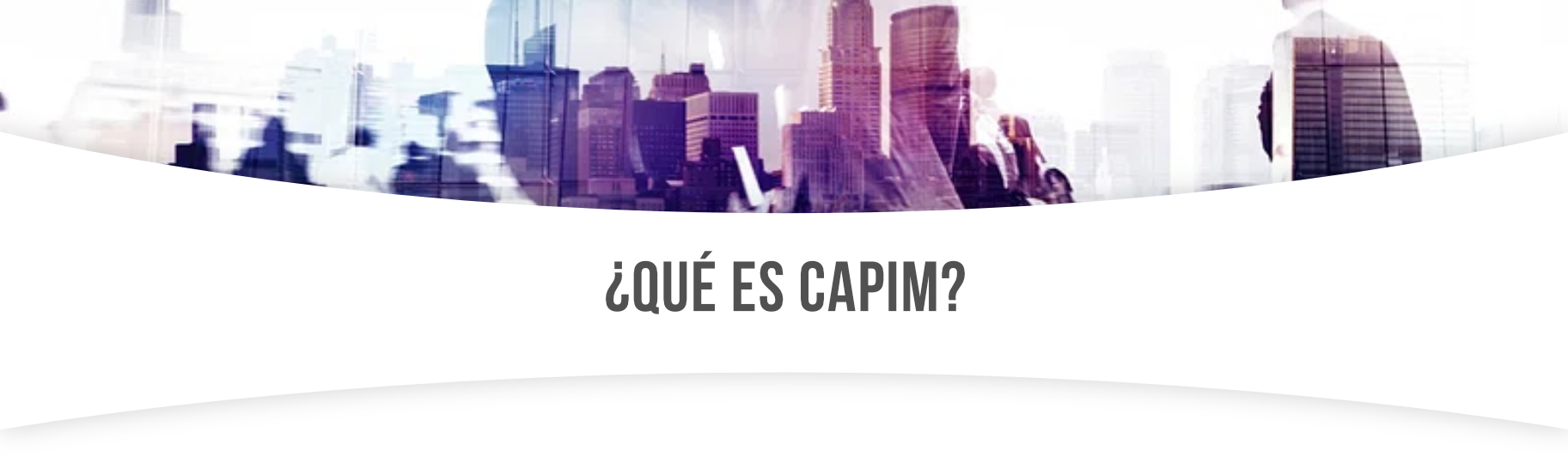CAPIM | Cadena de Proveedores de la Industria en México